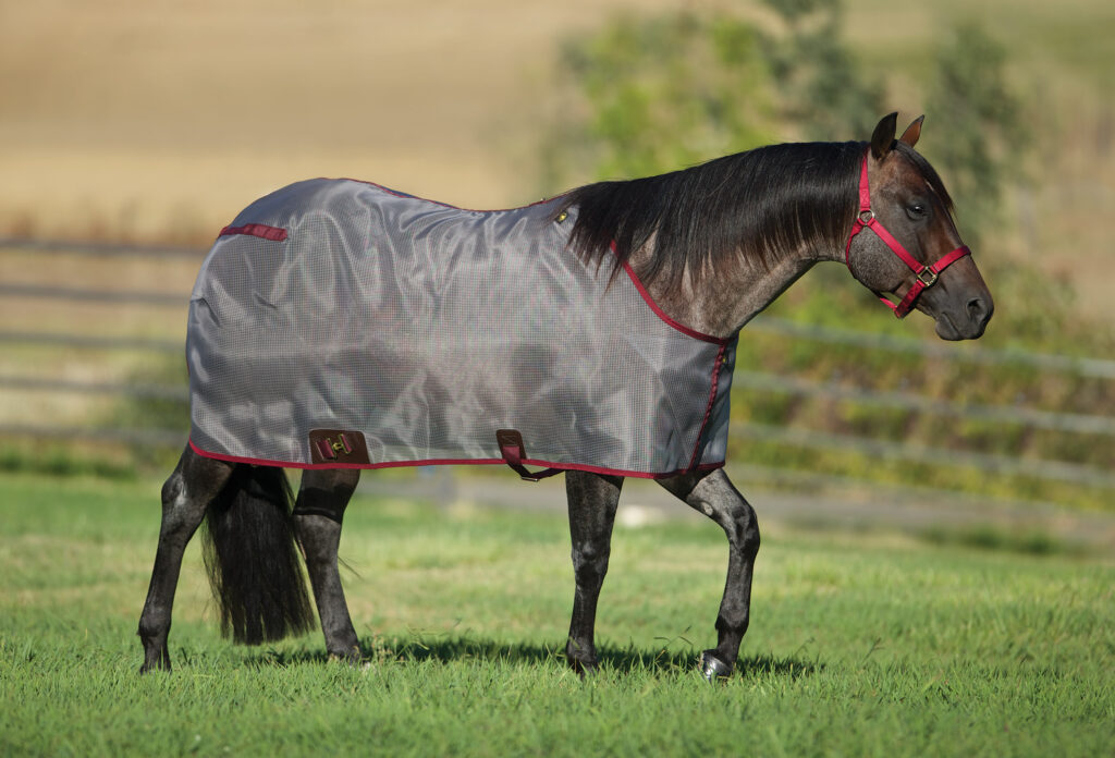 Nylon Mesh Fly Sheet – Big D Products