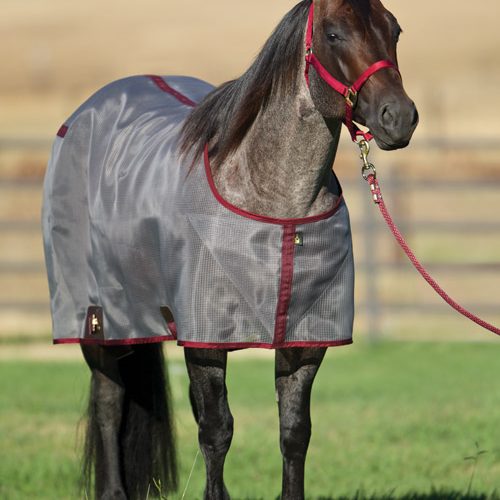 Nylon Mesh Fly Sheet – Big D Products