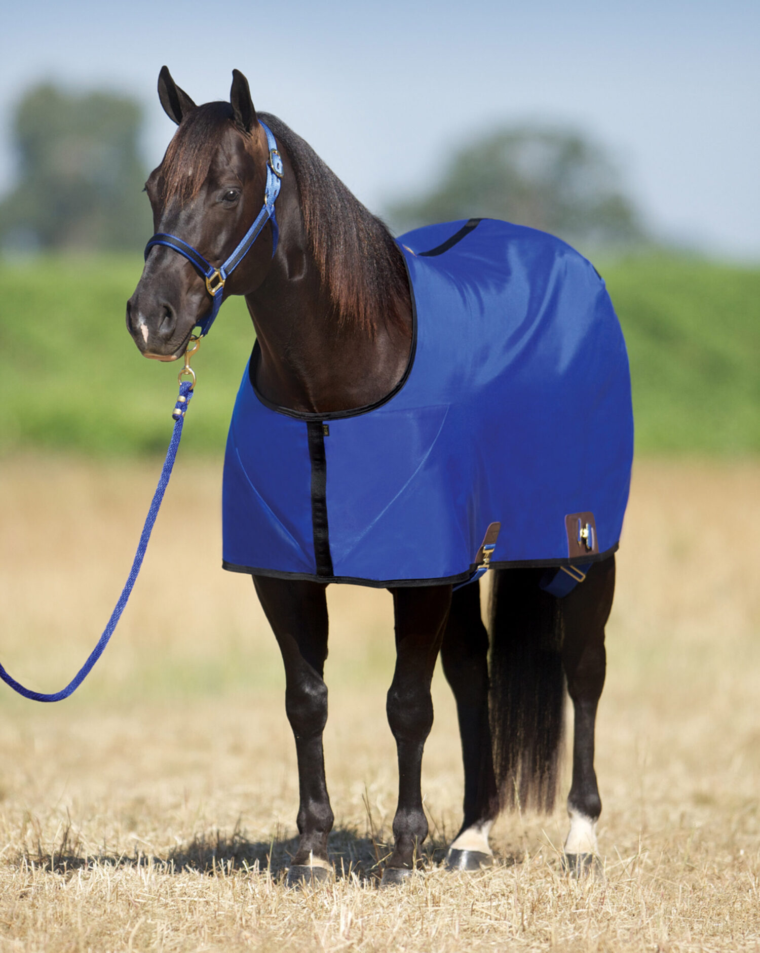 Nylon Stable Sheet – Big D Products