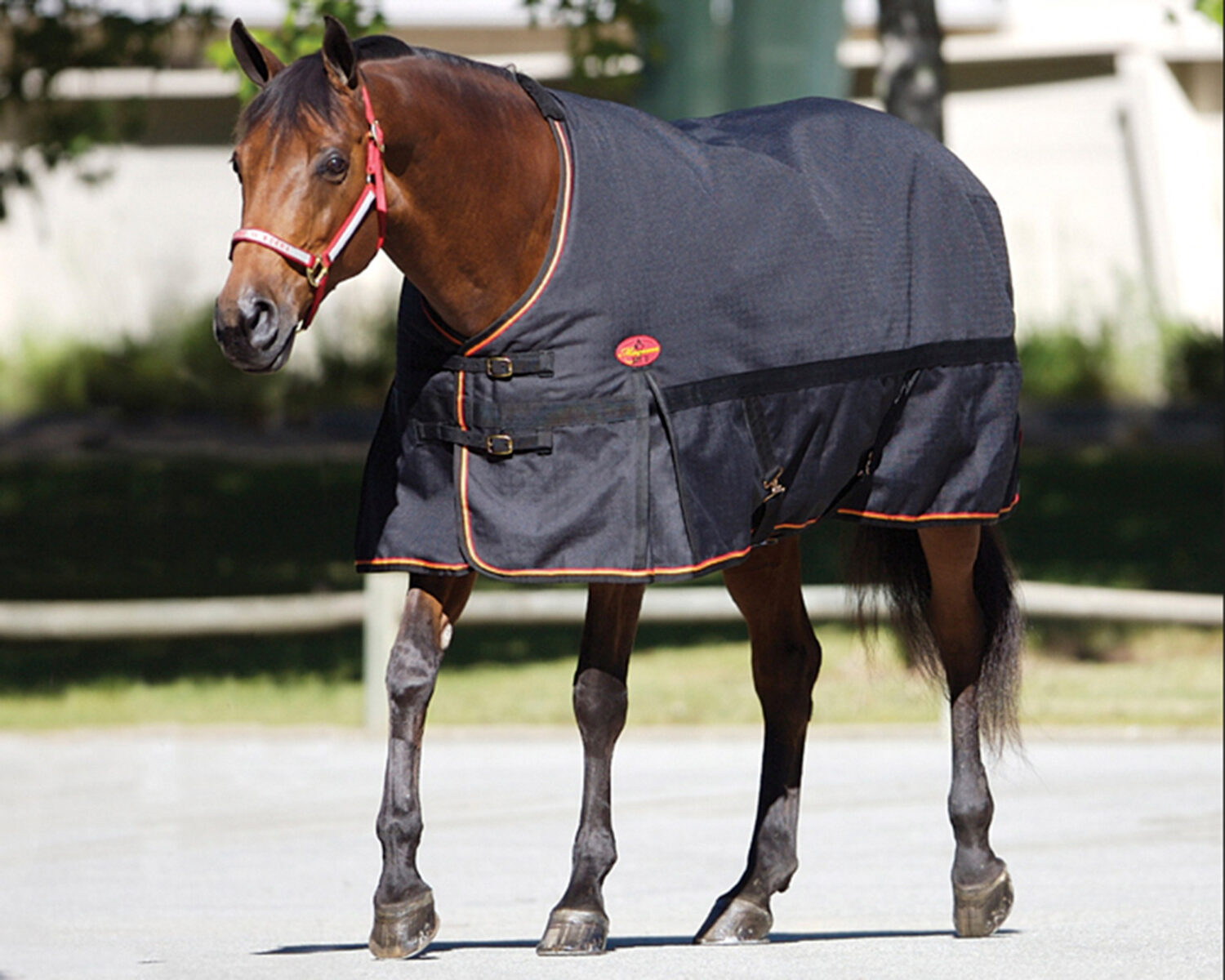 Magnum Blanket – Big D Products